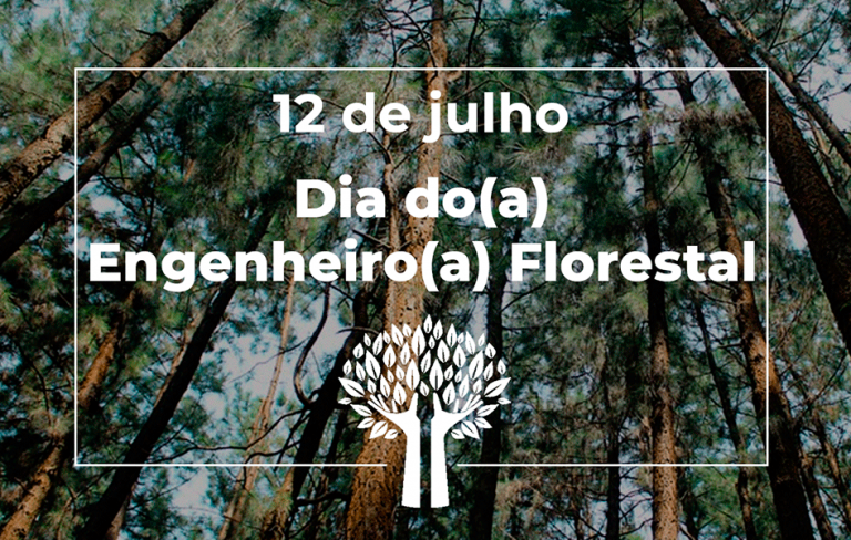 12 de julho - Dia do(a) Engenheiro(a) Florestal